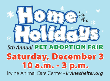 City of Irvine Website - News Details